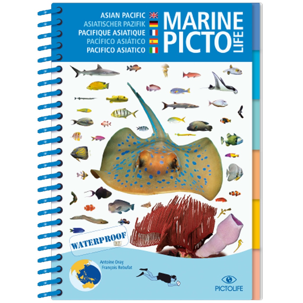 Pictolife Guía Especies del Pacífico Occidental Tropical, Thailandia ...